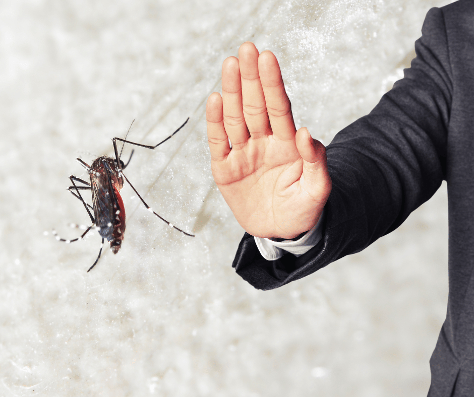 Mastering Mosquito Control: Your Guide to the Best Mosquito Treatment ...