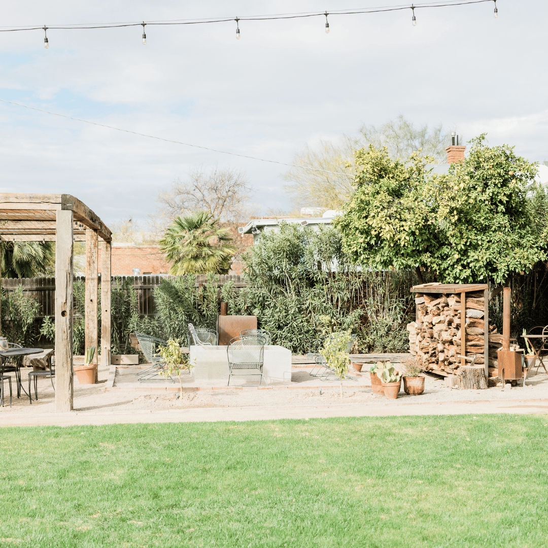 Ultimate Backyard Mosquito Control: A Guide for a Pest-Free Oasis ...